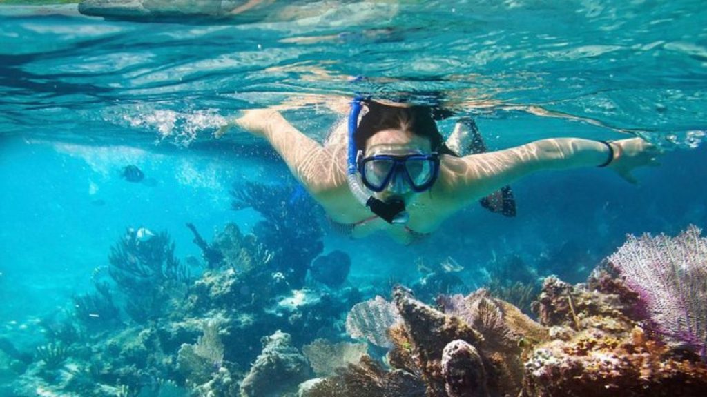 Coral Watching in Sri Lanka – Exclusive Underwater Safari Guide